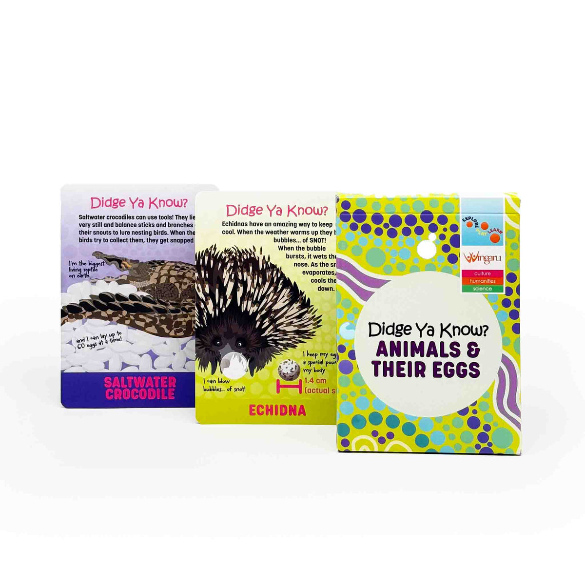 Didge Ya Know? Animals and their Eggs Information Cards · Wingaru Store