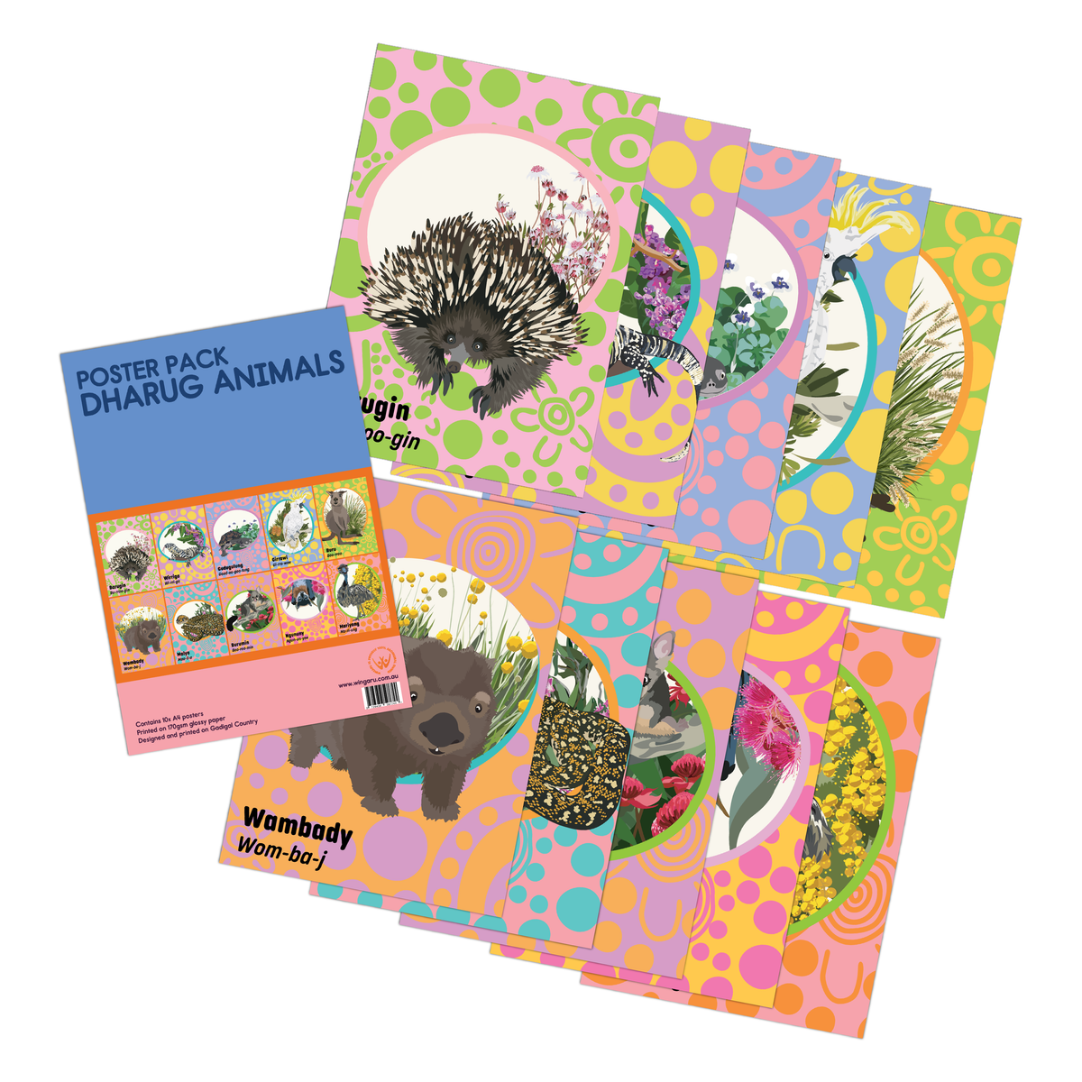 Dharug Animal Posters · Wingaru Store