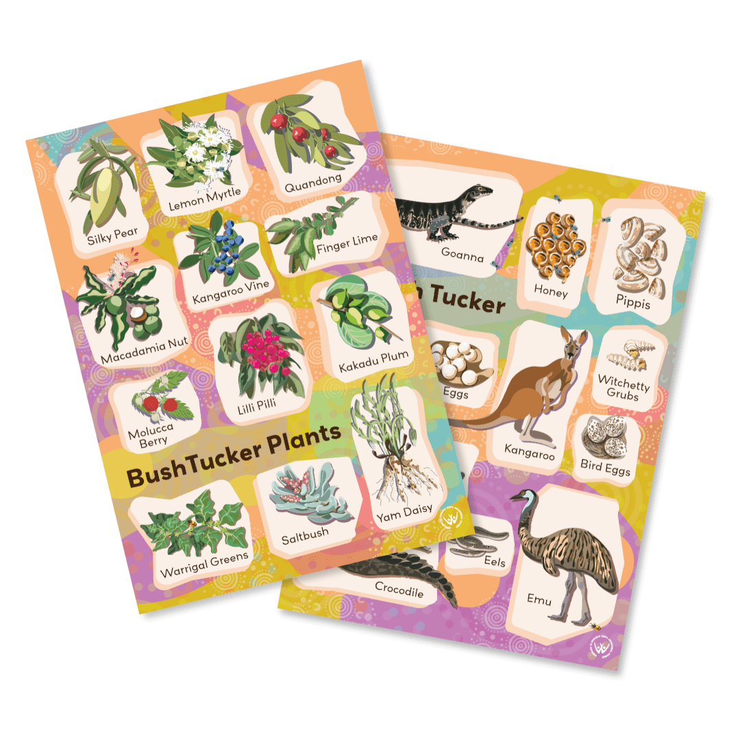 Bush Tucker Posters A2 · Wingaru Store