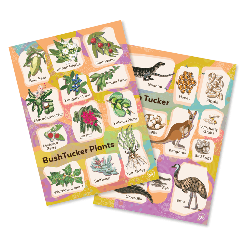 Aboriginal Education Resources · Wingaru Store